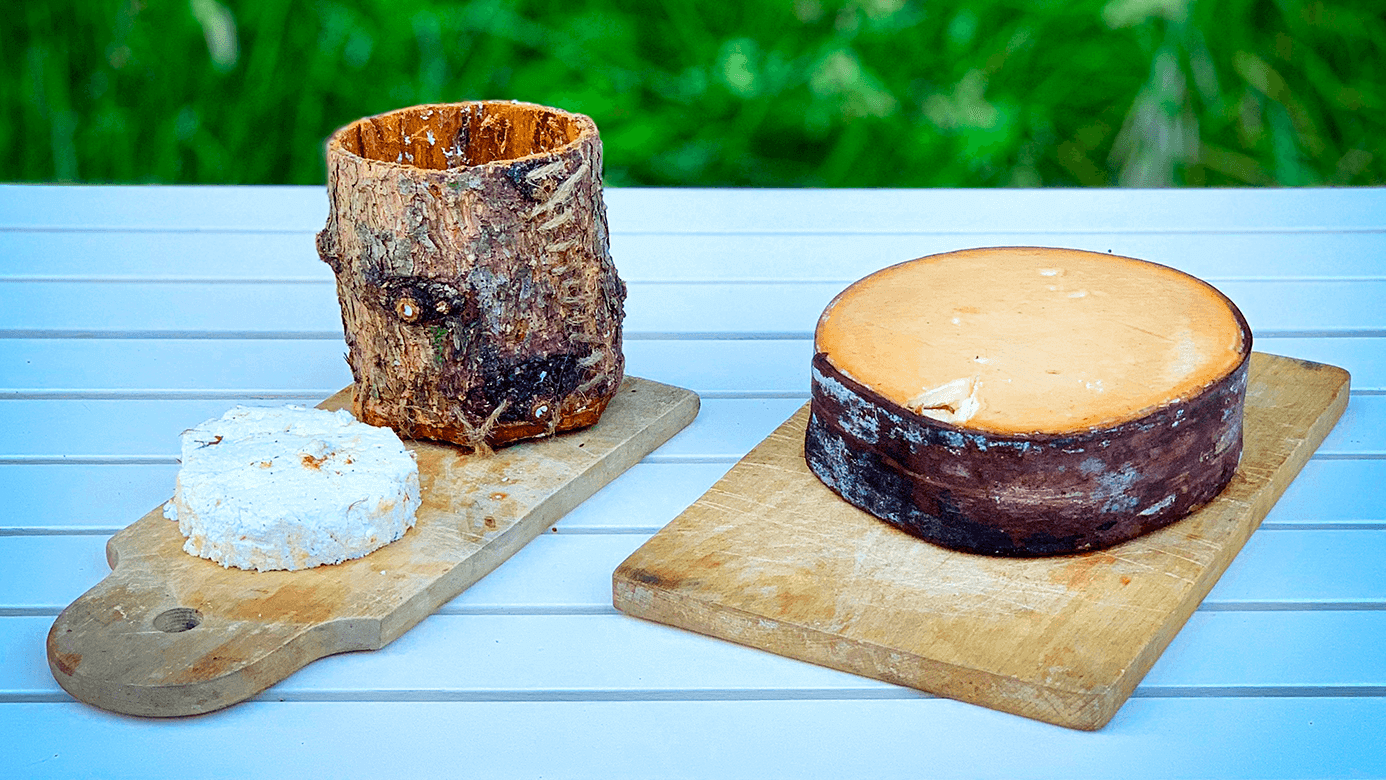 Tree Bark Cheese - Artur Cisar-Erlach